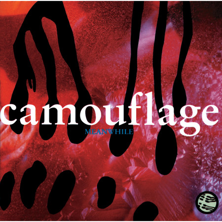 Meanwhile專輯 - Camouflage undefined - LINE MUSIC