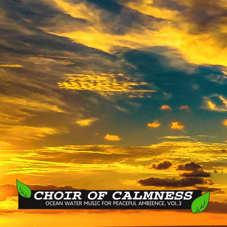 Ocean Melody - Various 眾藝人 - Choir of Calmness - Ocean Water Music for ...