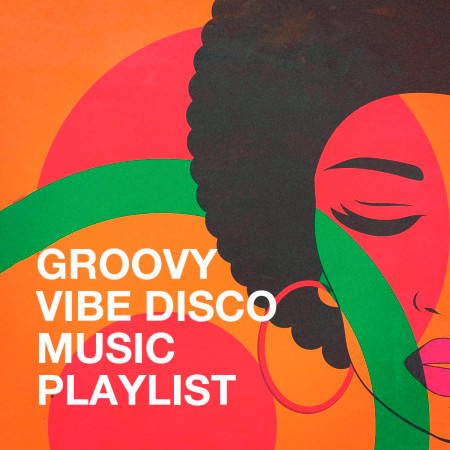 Two Heads Are Better Than One - Various Artists 眾藝人 - Groovy Vibe Disco ...