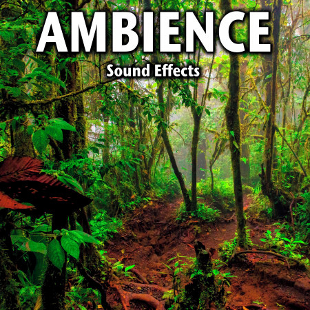 Ambience Sound Effects專輯 - Sound Ideas undefined - LINE MUSIC