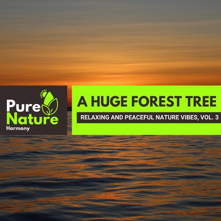 A Huge Forest Tree - Relaxing and Peaceful Nature Vibes, Vol. 3專輯 ...