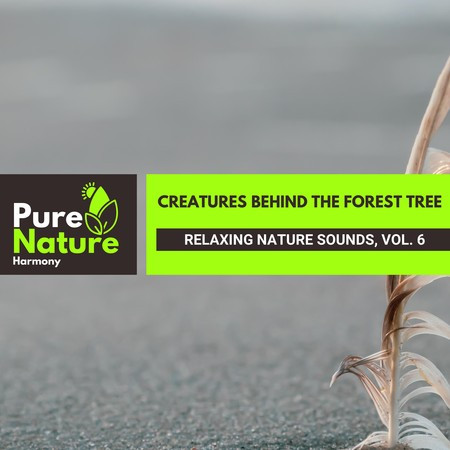 Creatures Behind the Forest Tree - Relaxing Nature Sounds, Vol. 6專輯 ...