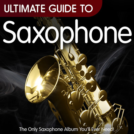 I Don't Want to Miss a Thing - Various Artists 眾藝人 - Ultimate Guide to ...