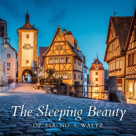The Sleeping Beauty, Op. 66a: No. 5, Waltz專輯 - Orchestra da Camera ...