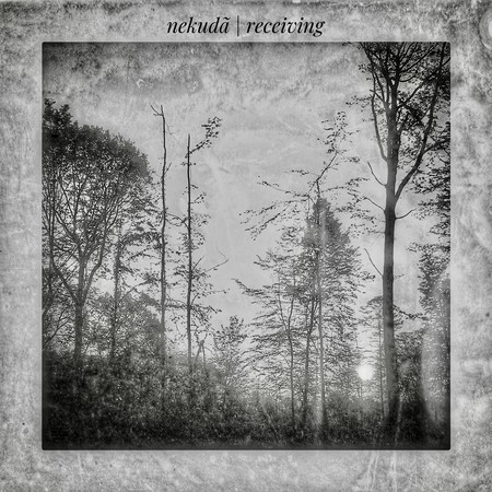 Receiving專輯 - NEKUDA - LINE MUSIC