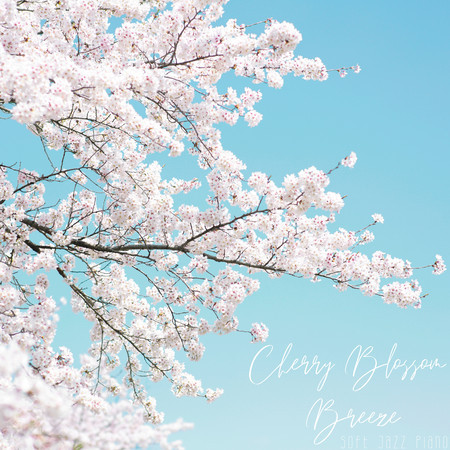 Cherry Blossom Breeze - Soft Jazz Piano專輯 - Relaxing BGM Project undefined - LINE MUSIC
