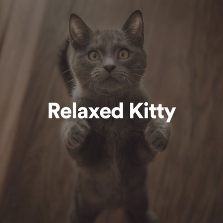 Relaxed Kitty專輯 - Music For Cats undefined - LINE MUSIC