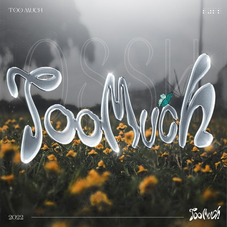 Too Much專輯 - OSSH undefined - LINE MUSIC