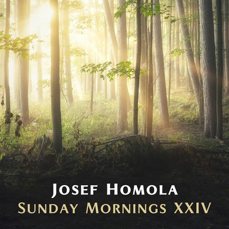 Sunday Mornings XXIV專輯 - Josef Homola undefined - LINE MUSIC