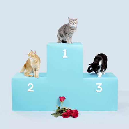 Falling Hard - RAC - Falling Hard專輯 - LINE MUSIC