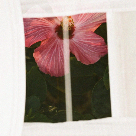 Pass The Hours專輯 - MorMor undefined - LINE MUSIC