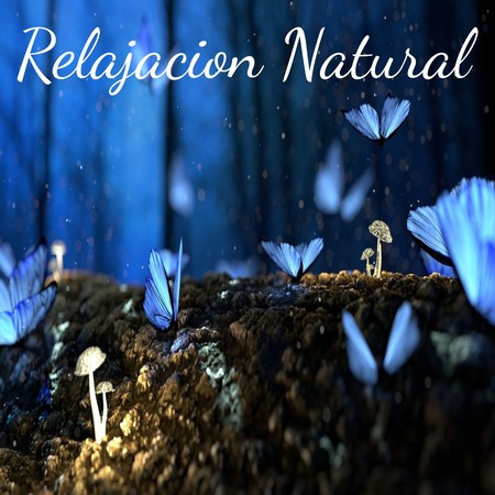 Relajación Natural專輯 - Relaxing Music - LINE MUSIC