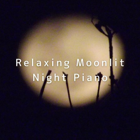 Relaxing Moonlit Night Piano專輯 - Relaxing BGM Project - LINE MUSIC