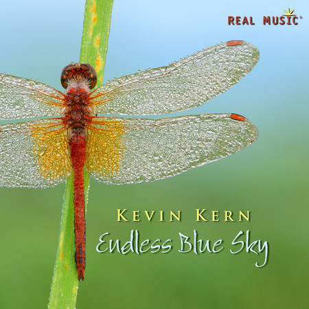 Endless Blue Sky專輯 - Kevin Kern - LINE MUSIC