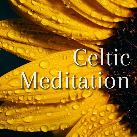 Celtic Meditation專輯 - Relaxing Music undefined - LINE MUSIC