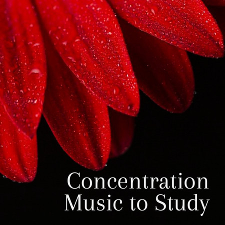 Concentration Music to Study專輯 - Relajación - LINE MUSIC