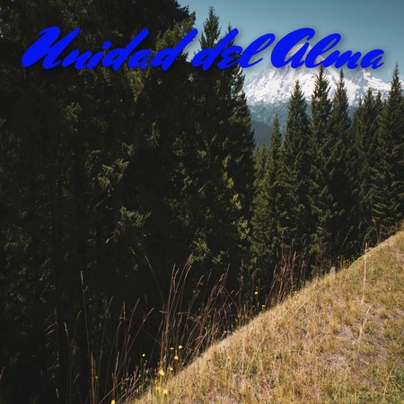 Unidad del Alma專輯 - Relaxing Music undefined - LINE MUSIC