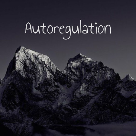 Autoregulation專輯 - Relaxing Music - LINE MUSIC