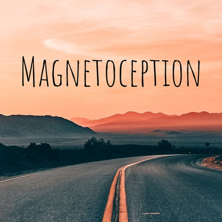Magnetoception專輯 - Relajación - LINE MUSIC