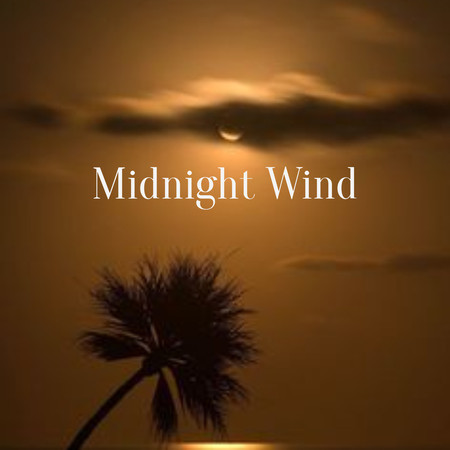 Midnight Wind專輯 - Relajación undefined - LINE MUSIC