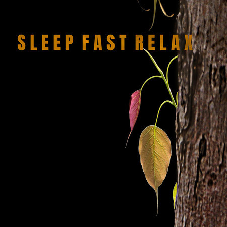 Sleep fast Relax專輯 - Relajación - LINE MUSIC