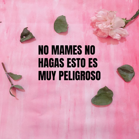 No mames no hagas esto es muy peligroso專輯 - Dj viral tiktok - LINE MUSIC