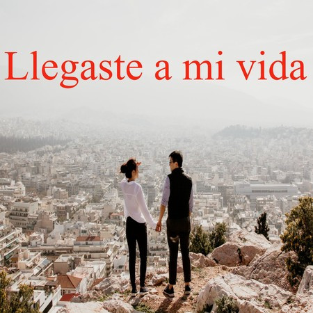 Llegaste a mi vida專輯 - CopyrightLicensing undefined - LINE MUSIC