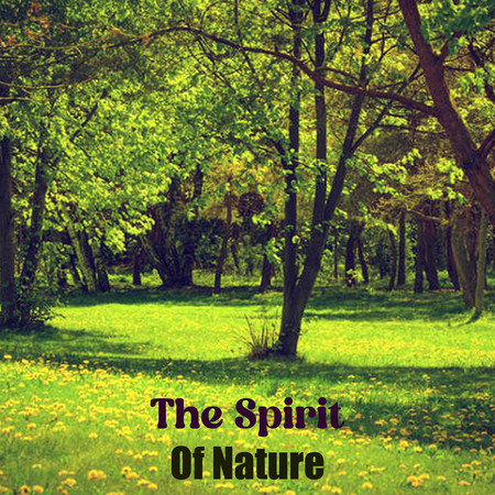 The Spirit Of Nature專輯 - Relaxing Music - LINE MUSIC