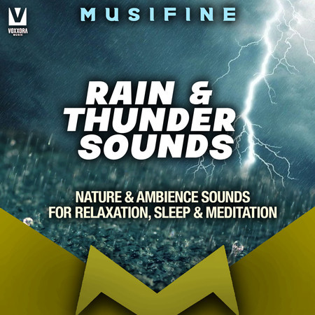 Rain and Thunder Sounds (Nature & Ambience Sounds for Relaxation, Sleep ...
