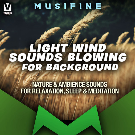 Light Wind Sounds Blowing for Background (Nature & Ambience Sounds for ...