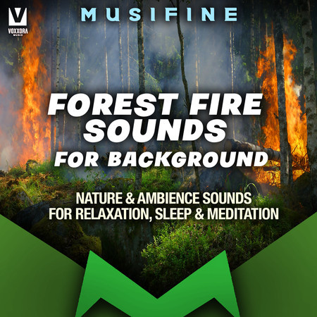 Forest Fire Sounds for Background (Nature & Ambience Sounds for ...