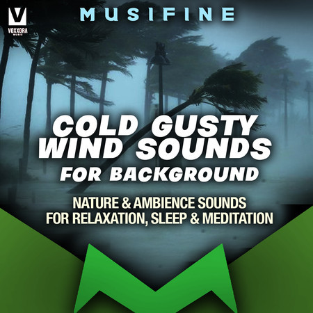 Cold Gusty Wind Sounds for Background (Nature & Ambience Sounds for ...