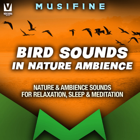 Bird Sounds in Nature Ambience (Nature & Ambience Sounds for Relaxation, Sleep & Meditation)專輯 ...