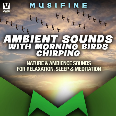 Ambient Sounds With Morning Birds Chirping (Nature & Ambience Sounds for Relaxation, Sleep ...