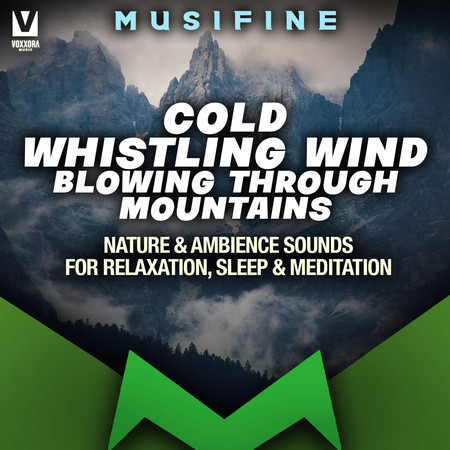 Cold Whistling Wind Blowing Through Mountains (Nature & Ambience Sounds ...