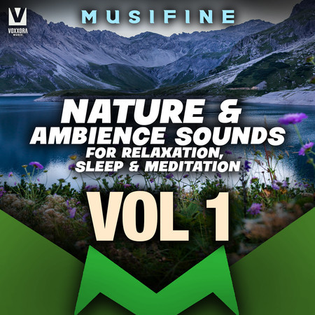 Nature & Ambience Sounds for Relaxation, Sleep & Meditation, Vol. 1專輯 ...