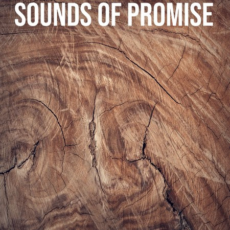 Sounds of promise專輯 - Relaxing Music - LINE MUSIC