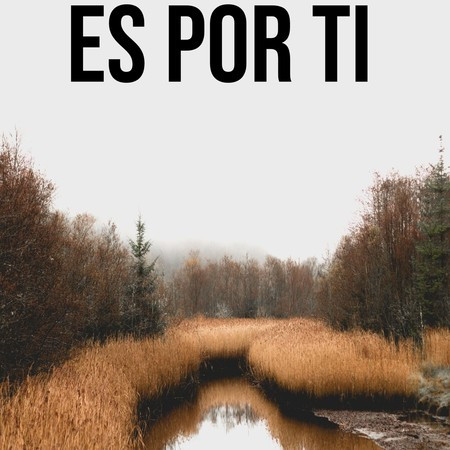 Es por Ti專輯 - Relaxing Music - LINE MUSIC