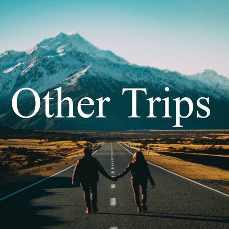 Other Trips專輯 - CopyrightLicensing undefined - LINE MUSIC