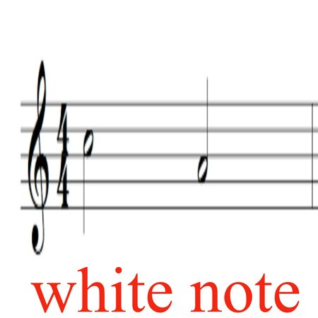 white note專輯 - CopyrightLicensing undefined - LINE MUSIC