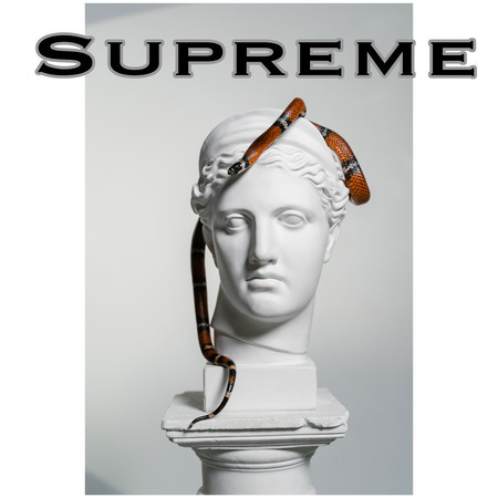 Supreme (Electronic Version)專輯 - Nologo undefined - LINE MUSIC