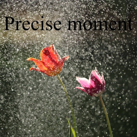 Precise moment專輯 - CopyrightLicensing - LINE MUSIC