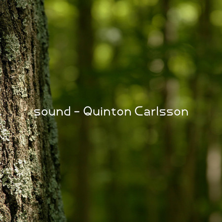 sound專輯 - Quinton Carlsson - LINE MUSIC