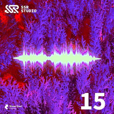 SSR Beats Vol.15專輯 - SSR Studio - LINE MUSIC