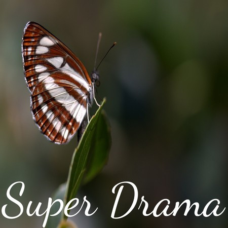 Super Drama專輯 - Relaxing Music undefined - LINE MUSIC