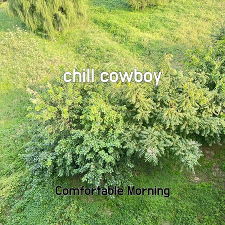 chill cowboy專輯 - Comfortable Morning undefined - LINE MUSIC