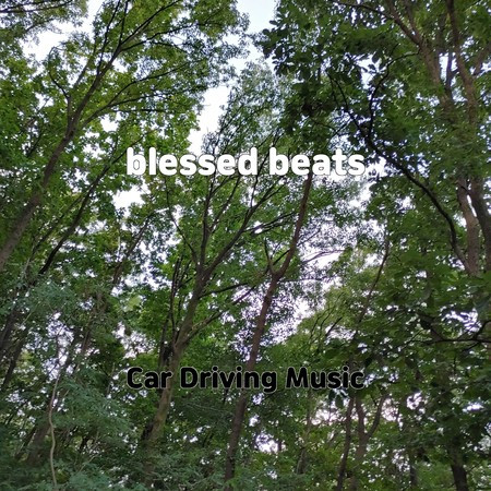 blessed beats專輯 - Car Driving Music undefined - LINE MUSIC