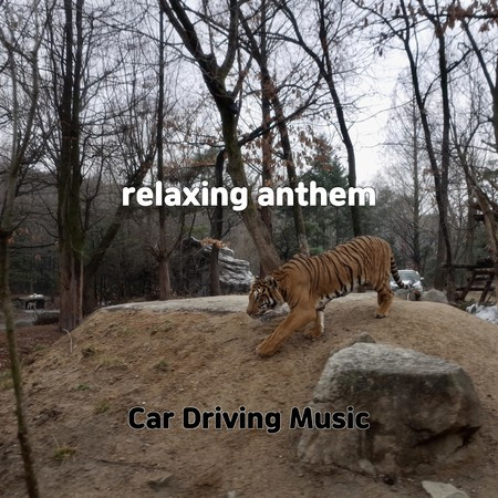 relaxing anthem專輯 - Car Driving Music undefined - LINE MUSIC
