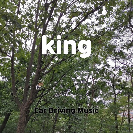 king專輯 - Car Driving Music undefined - LINE MUSIC