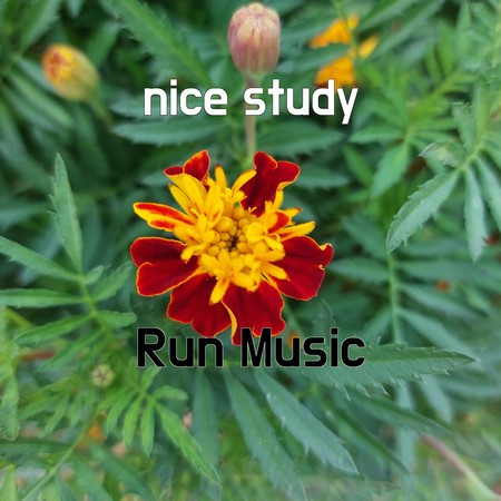 nice study專輯 - Run Music - LINE MUSIC